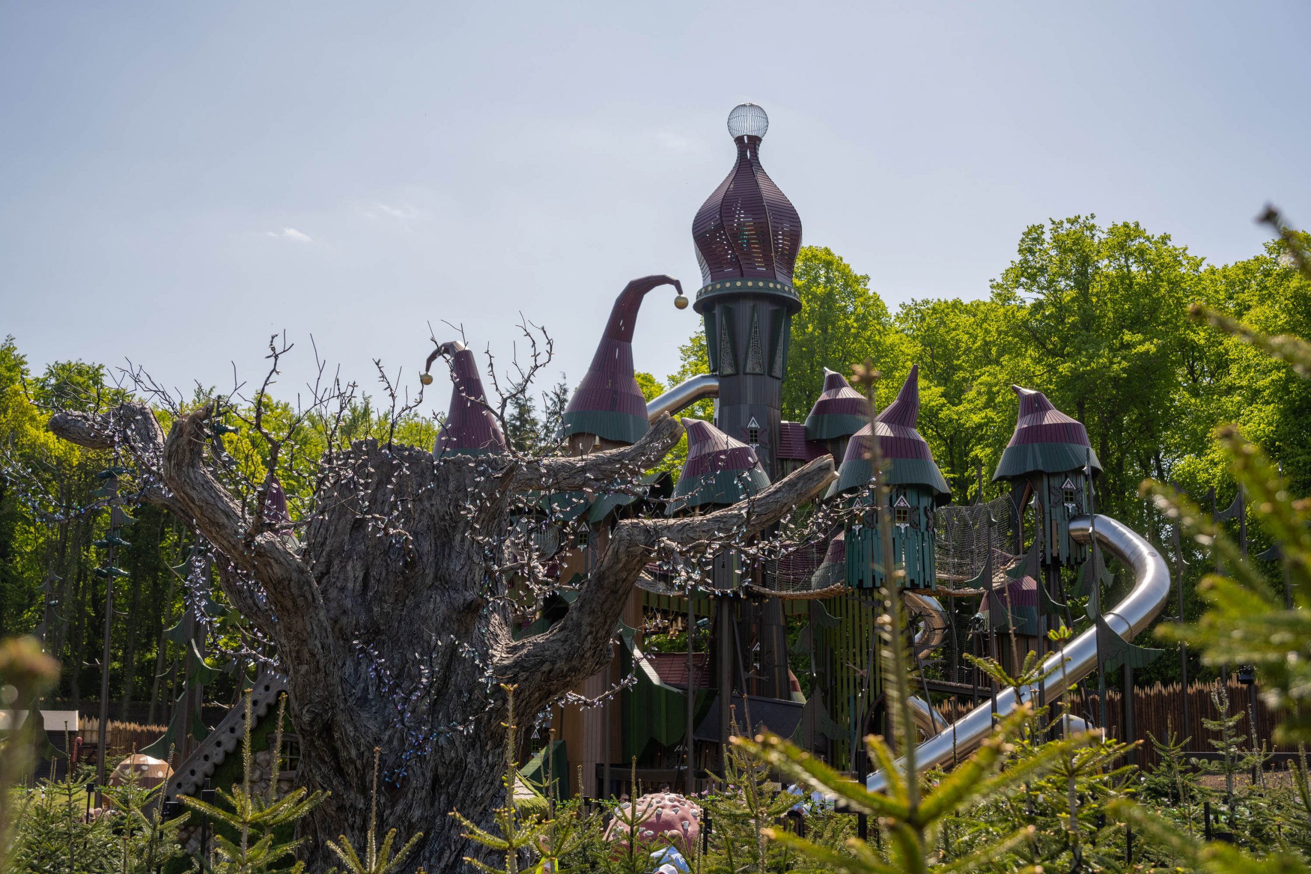 2025 Tickets - Lilidorei at the Alnwick Garden